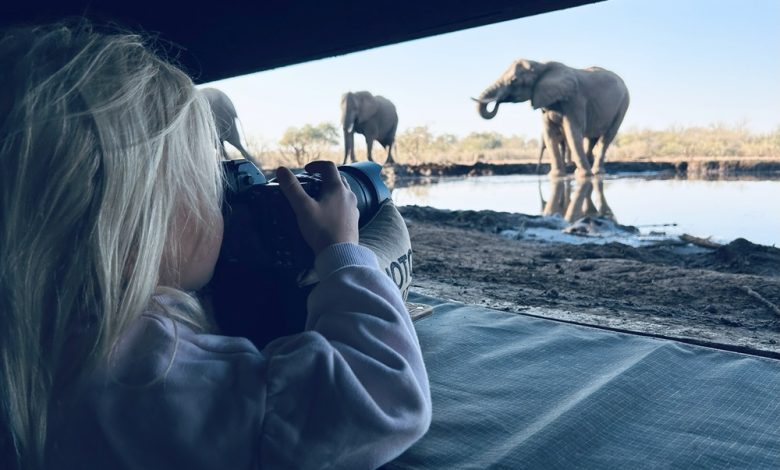 Mashatu Game Reserve in Botswana Launches Family Safari Offers | South ...